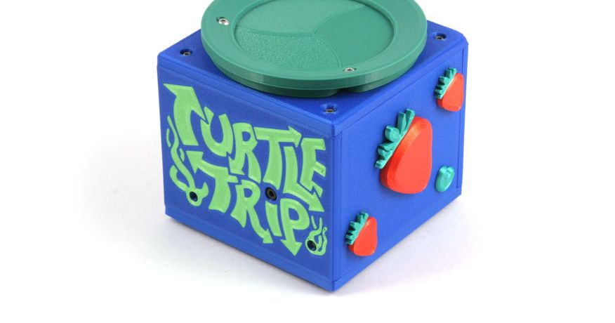 Turtle Trip | Puzzle | PuzzleGeek