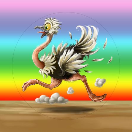 Kanasu rules in English | Banjooli Xeet: Kanasu