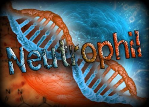 [WIP] [9 Card PNP 2017] Neutrophil - COMPONENTS READY | BoardGameGeek ...