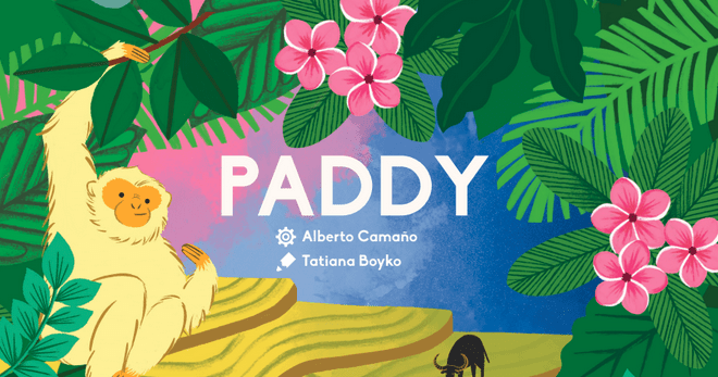 Paddy | Board Game | BoardGameGeek