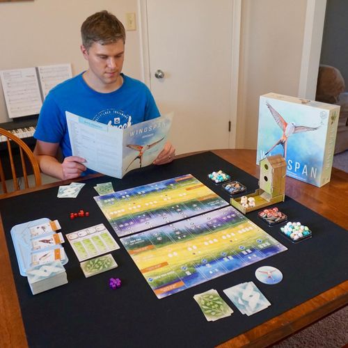 Wingspan Review | Wingspan