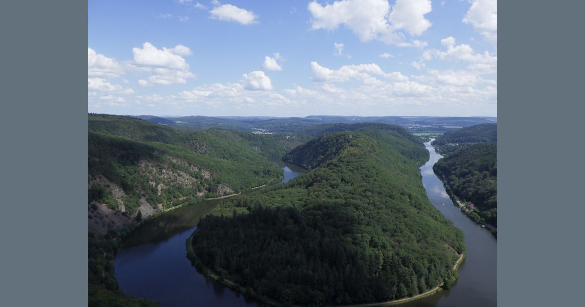 Check Please- Games played in Summer 2023 Part 2 | Foam Bananas ...