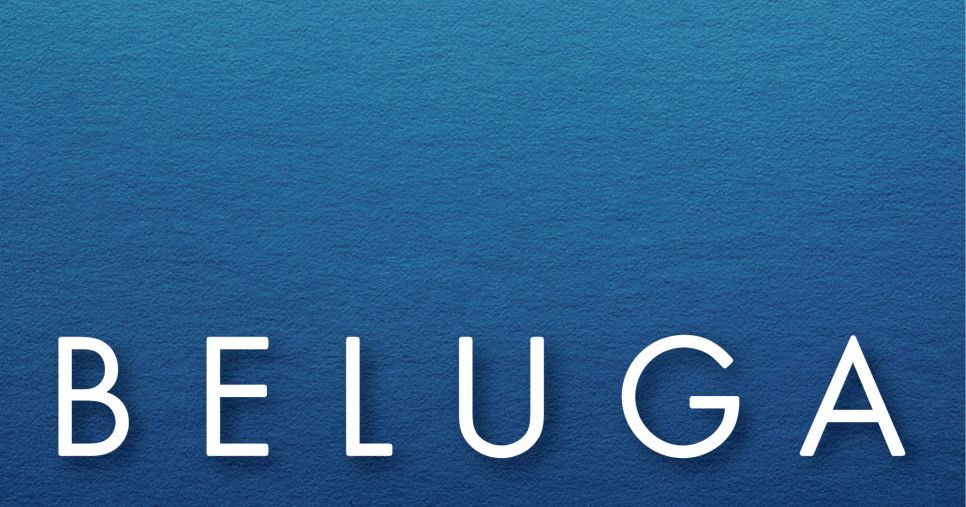 ベルーガ (Beluga) | Board Game | BoardGameGeek