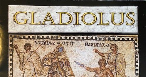 Gladiolus: the Game of Gladiatorial Combat in the Roman Arena | Board ...
