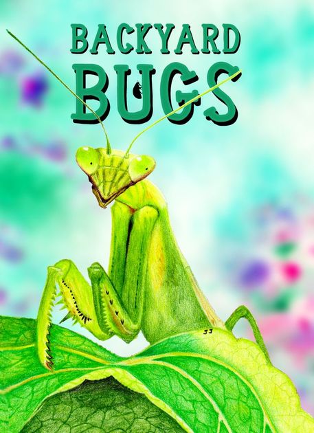Backyard Bugs | Board Game | BoardGameGeek