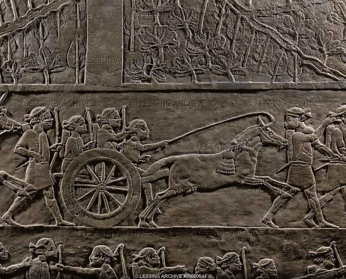 Til-Tuba 652 BC | Commands & Colors: Ancients | BoardGameGeek