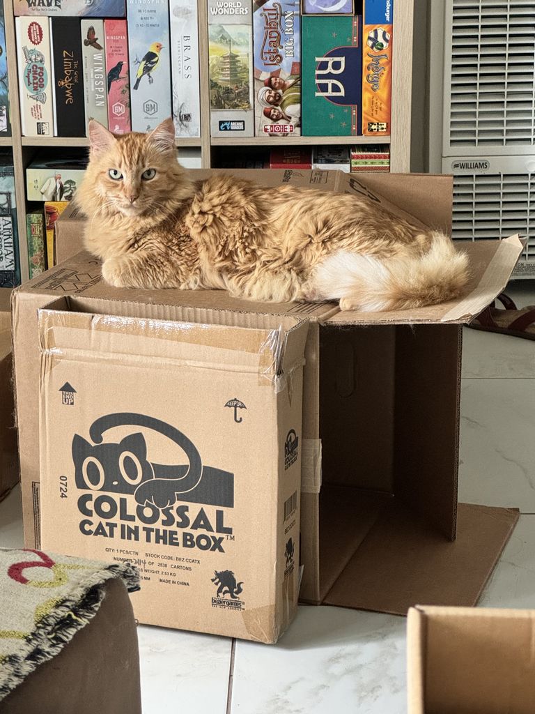 colossal cat