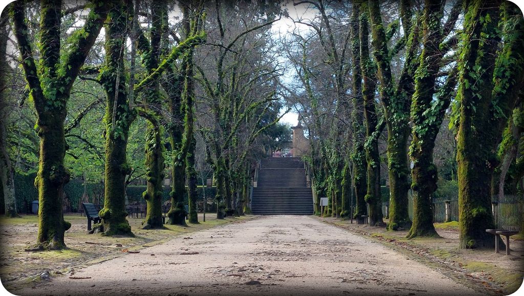 ...a pictorial journey through 2024... | Browsing Games