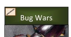 Bug Wars: Insect Armies Battle for Hive Domination on an 'Eat or be ...