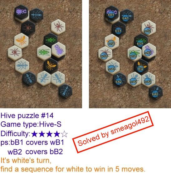 Hive Puzzles metalist
