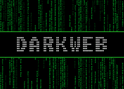 Dark Web | Board Game | BoardGameGeek