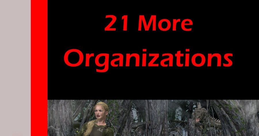 21 More Organizations | RPG Item | BoardGameGeek