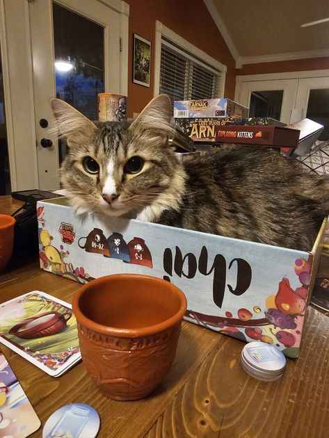 Feeling Challenged - Day 56 | Feeling Challenged