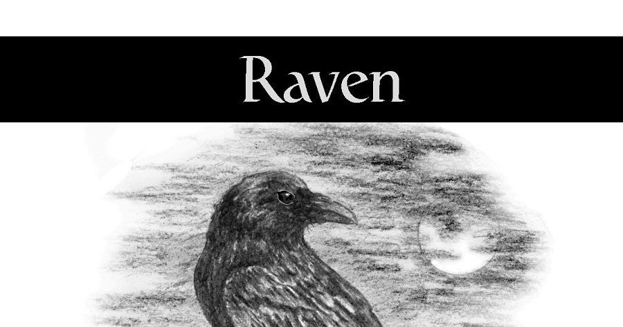 Raven | Board Game | BoardGameGeek