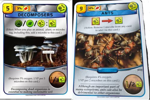 microbes decomposers