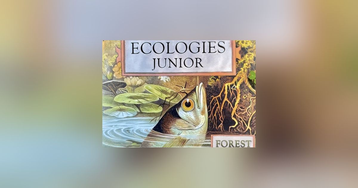 Ecologies Junior: Forest | Board Game | BoardGameGeek