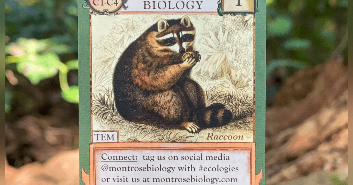 Ecologies: Contact Creatures Business Card Expansion | Board Game ...