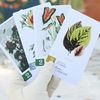 Botany | Board Game | BoardGameGeek