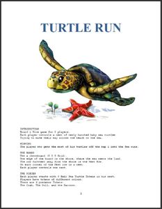 Turtle Run | Board Game | BoardGameGeek