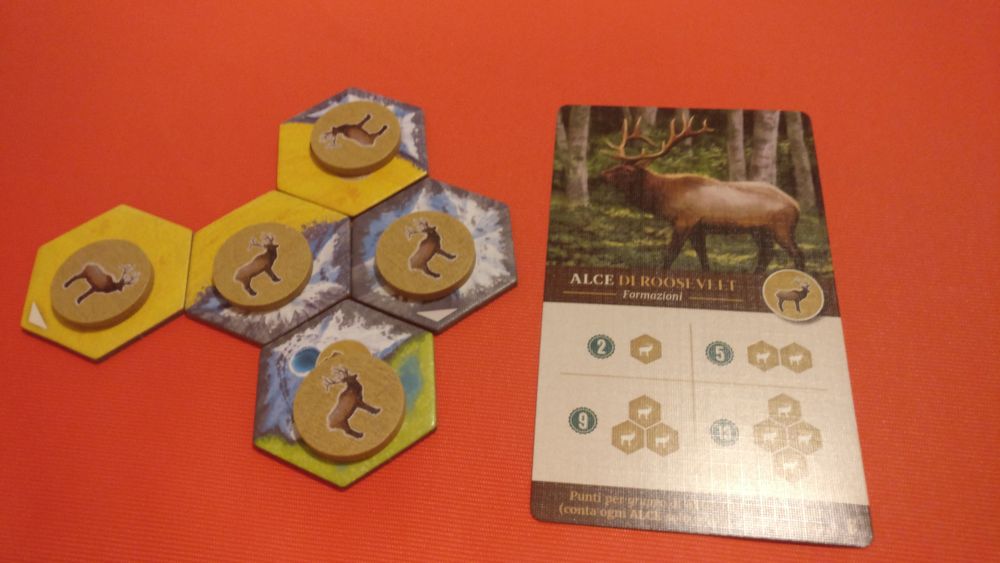 Scoring elk card B | Cascadia