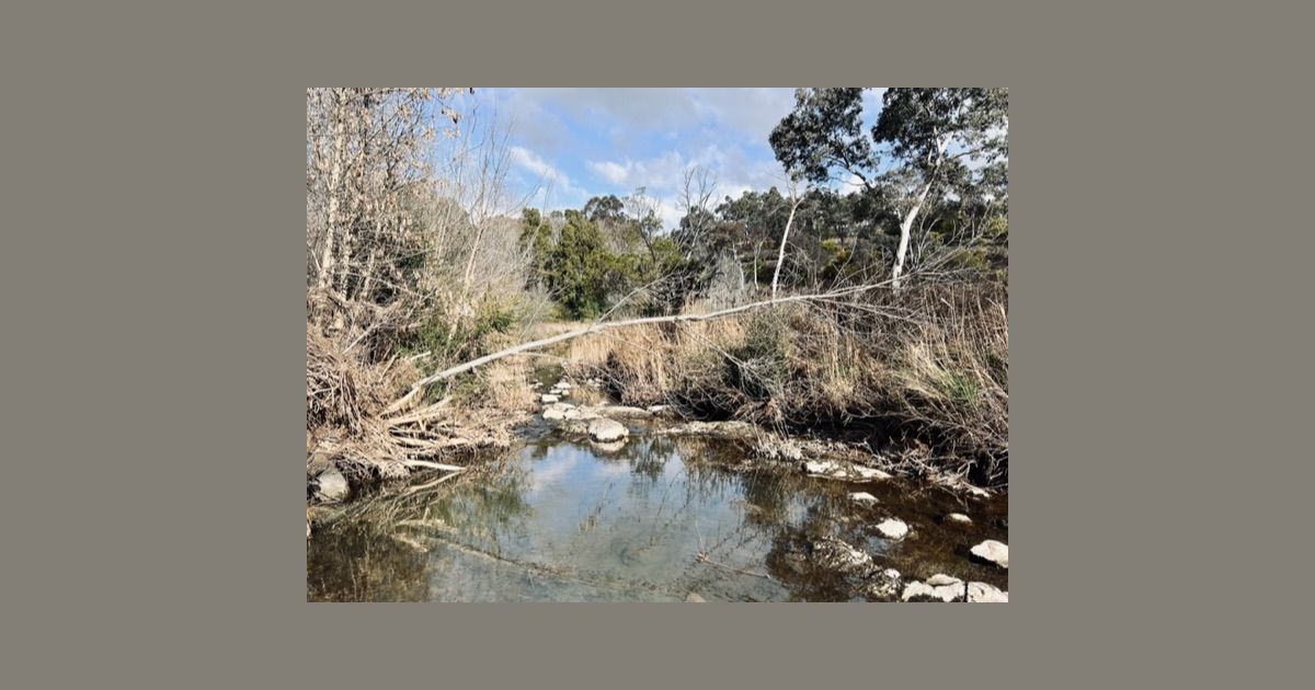 Stuck in reverse | I fold... | VideoGameGeek