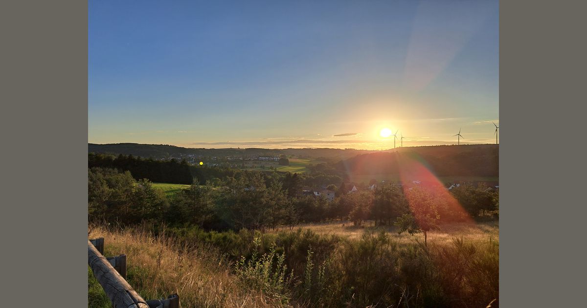 Check Please- Games played in Summer 2023 Part 7 | Foam Bananas ...