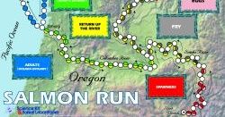 Salmon Run Game | Board Game | BoardGameGeek