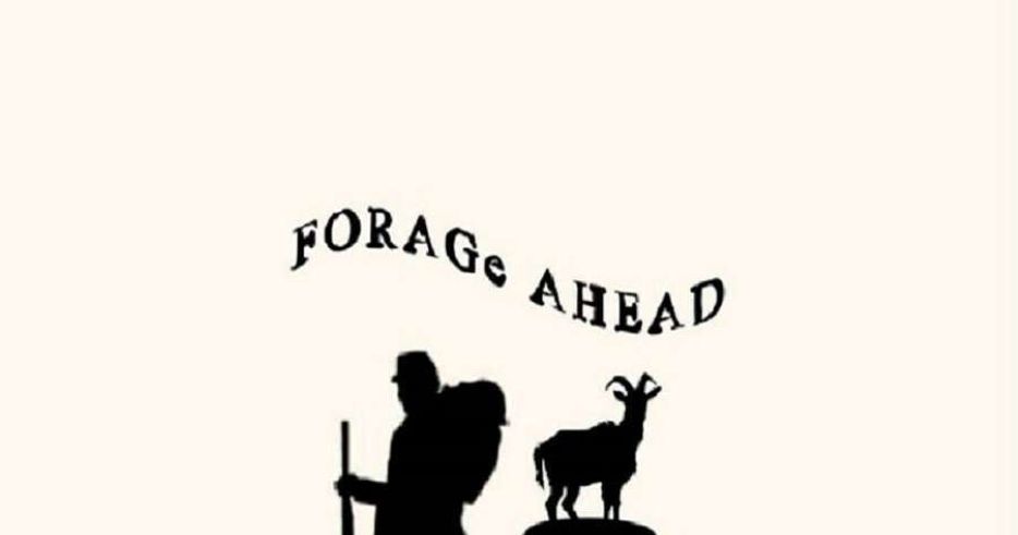 Forage Ahead | Board Game | BoardGameGeek