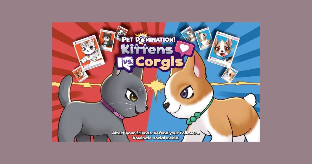 Kittens vs Corgis Rules | Pet Domination: Kittens vs Corgis