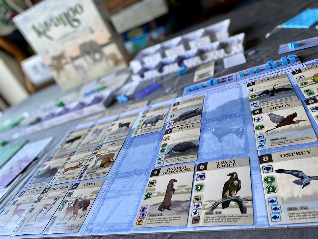 Kavango Board Game Preview | Kavango