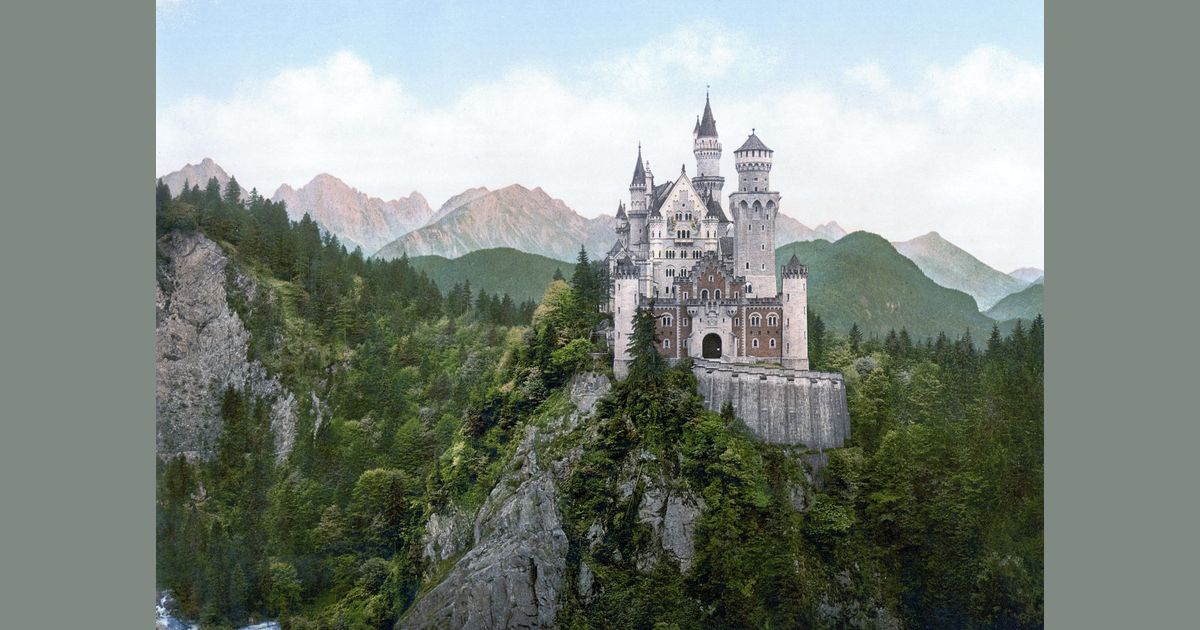 The Swan King | It Beats Watching The TV