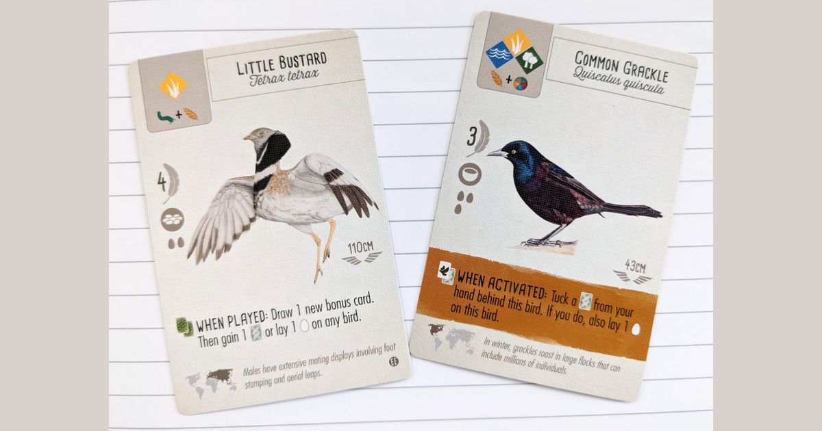 #2: Two Games About Birds | Nothing Else to Add