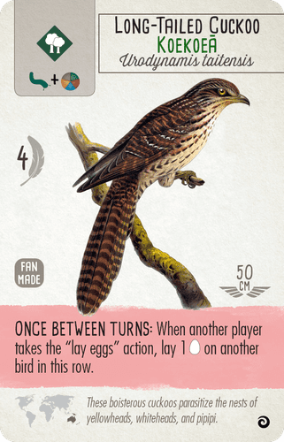 Birds of New Zealand / Nga Manu o Aotearoa fan pack | Wingspan