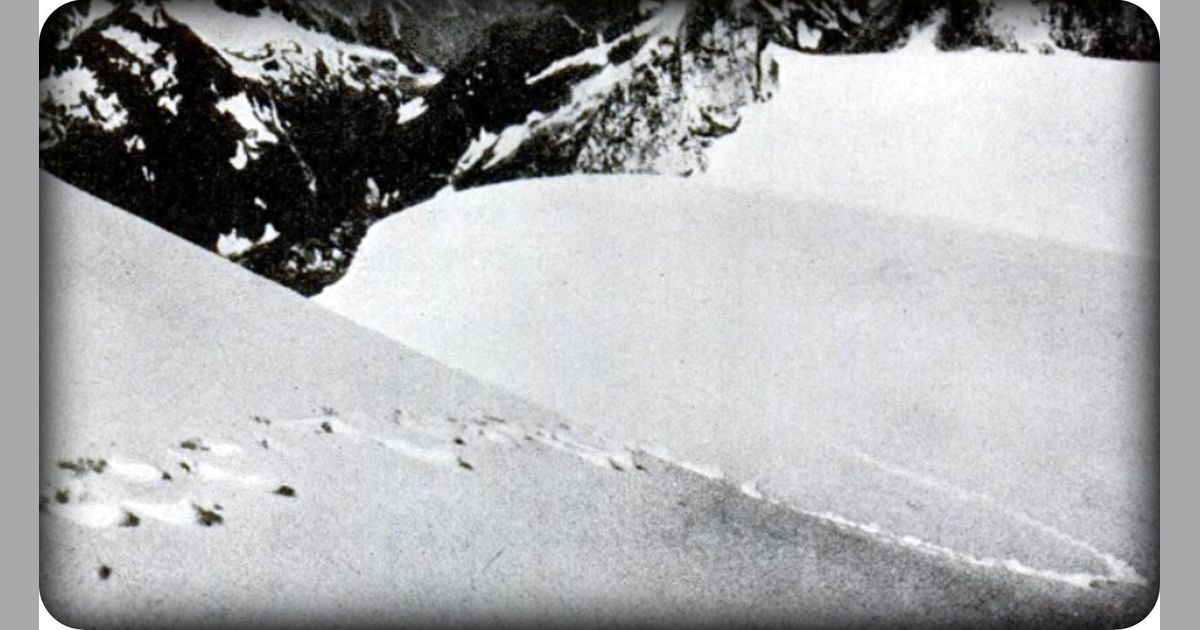 ...the lost yeti... | Browsing Games | RPGGeek