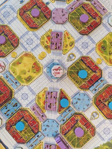 The forest, the sea and Barcelona | LadybugMeeple's blog | BoardGameGeek