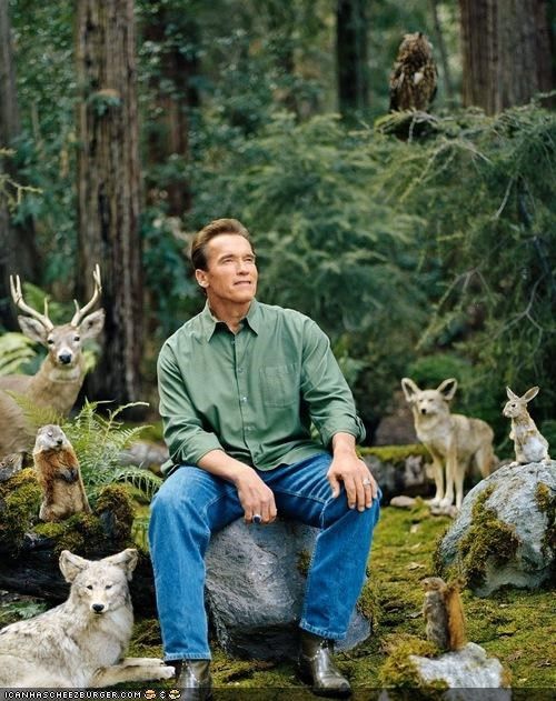 funny caption competition