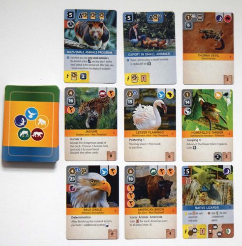 Ark Nova Review | Silver Duck Reviews | BoardGameGeek