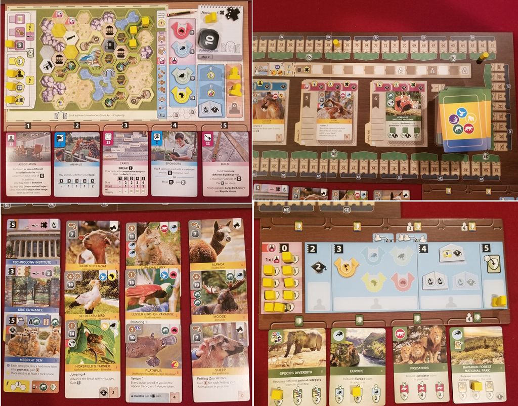 Ark Nova Solo Competition: March 2023 - Map 2 | Ark Nova