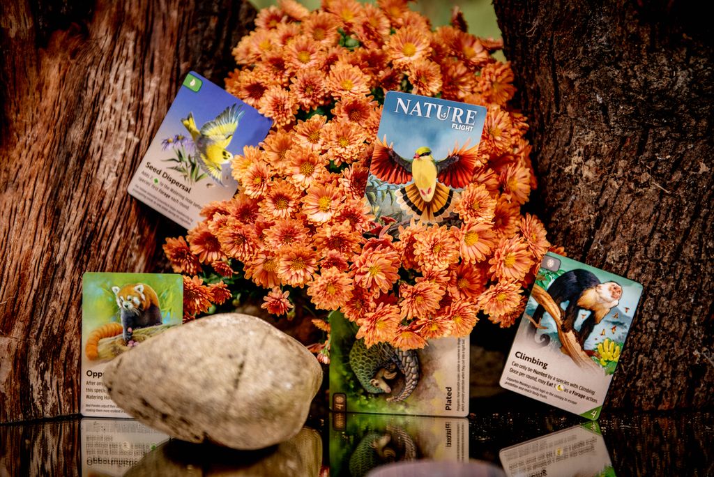 Eat or be eaten - "Nature" review @BoardGameColors | Nature