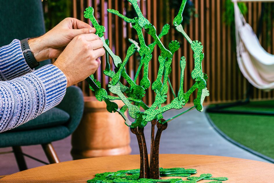 OffShoots | Board Game | BoardGameGeek