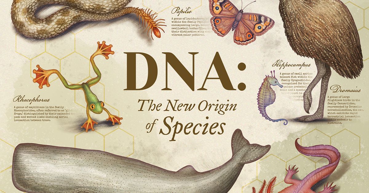 DNA: The New Origin of Species | Board Game | BoardGameGeek