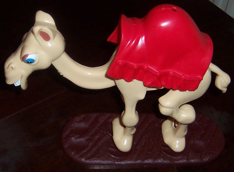 buckaroo camel