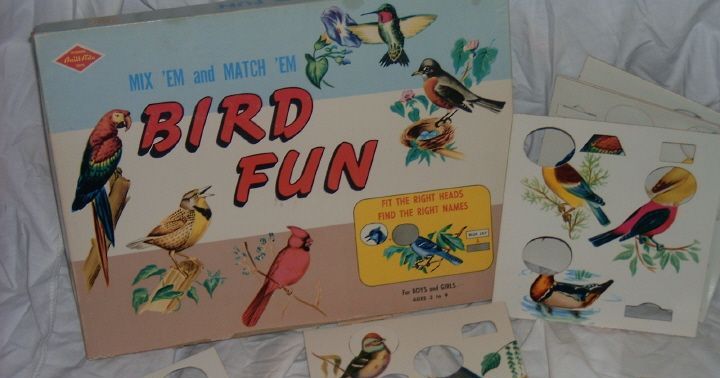 Bird Fun | Board Game | BoardGameGeek