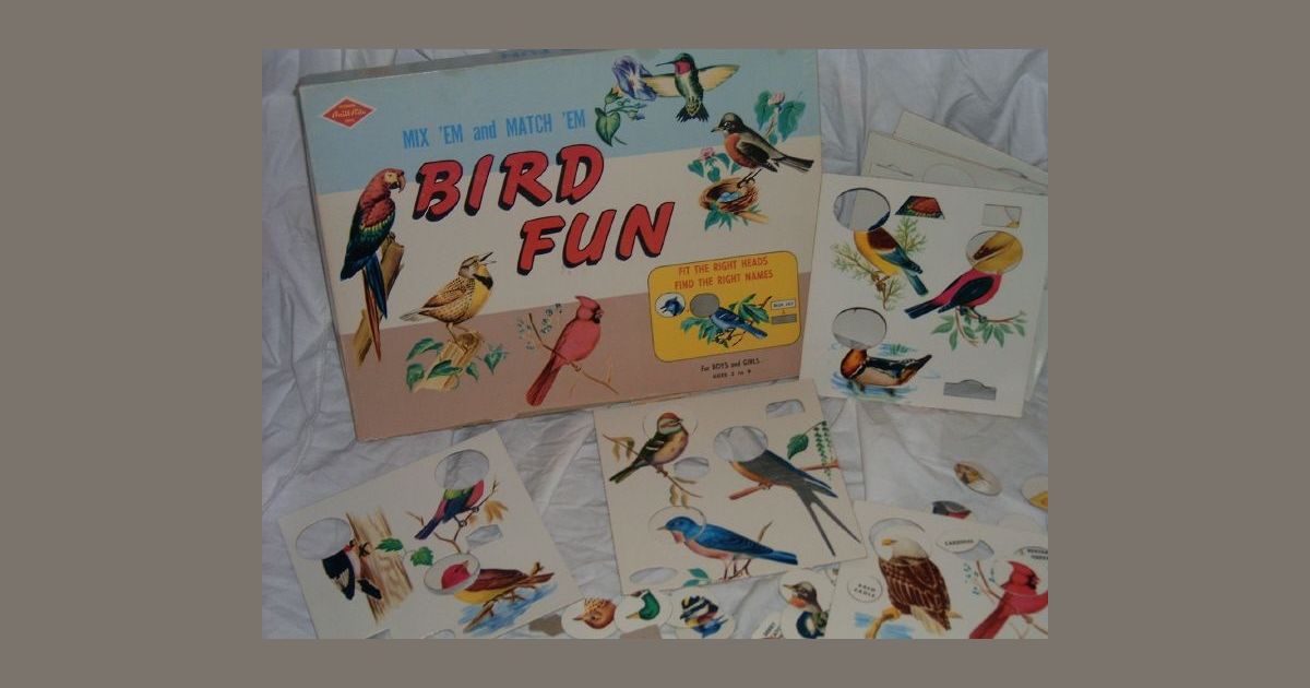 Bird Fun | Board Game | BoardGameGeek