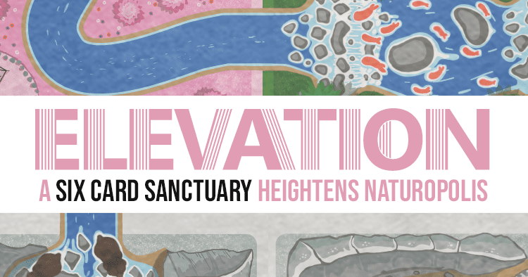 Naturopolis: Elevation | Board Game | BoardGameGeek