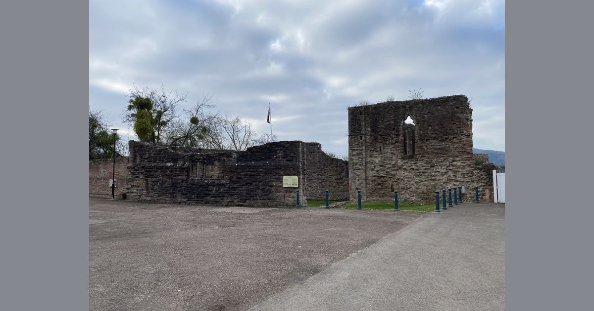 Trefynwy Which Way But Loose | Everyone Needs A Shed | BoardGameGeek